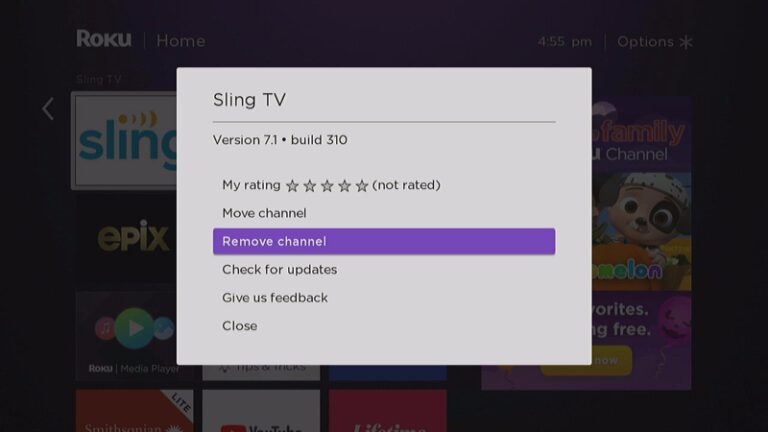 Roku: How to Add/Delete Channels – Streamers World