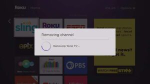 Roku: How to Add/Delete Channels – Streamers World